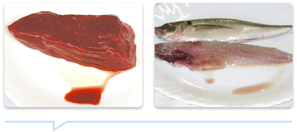 TOMIN Liquid Cryo-Freezers technology | Technican Co., Ltd., a company ...